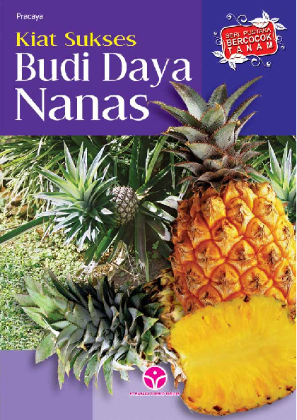 Kiat Sukses Budi Daya Nanas - Bintangpusnas Edu Kiat Sukses Budi Daya Nanas - Bintangpusnas Edu
