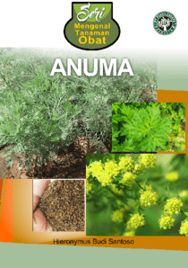 Anuma - Bintangpusnas Edu